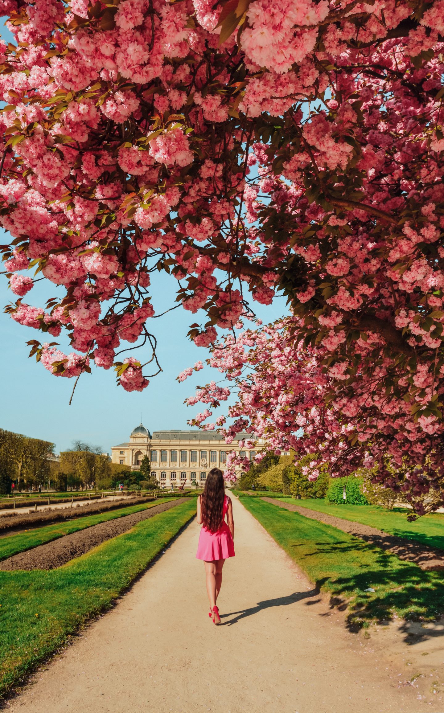 Spring in Paris - Best Places To See the Blooms - Nathalie Wanders