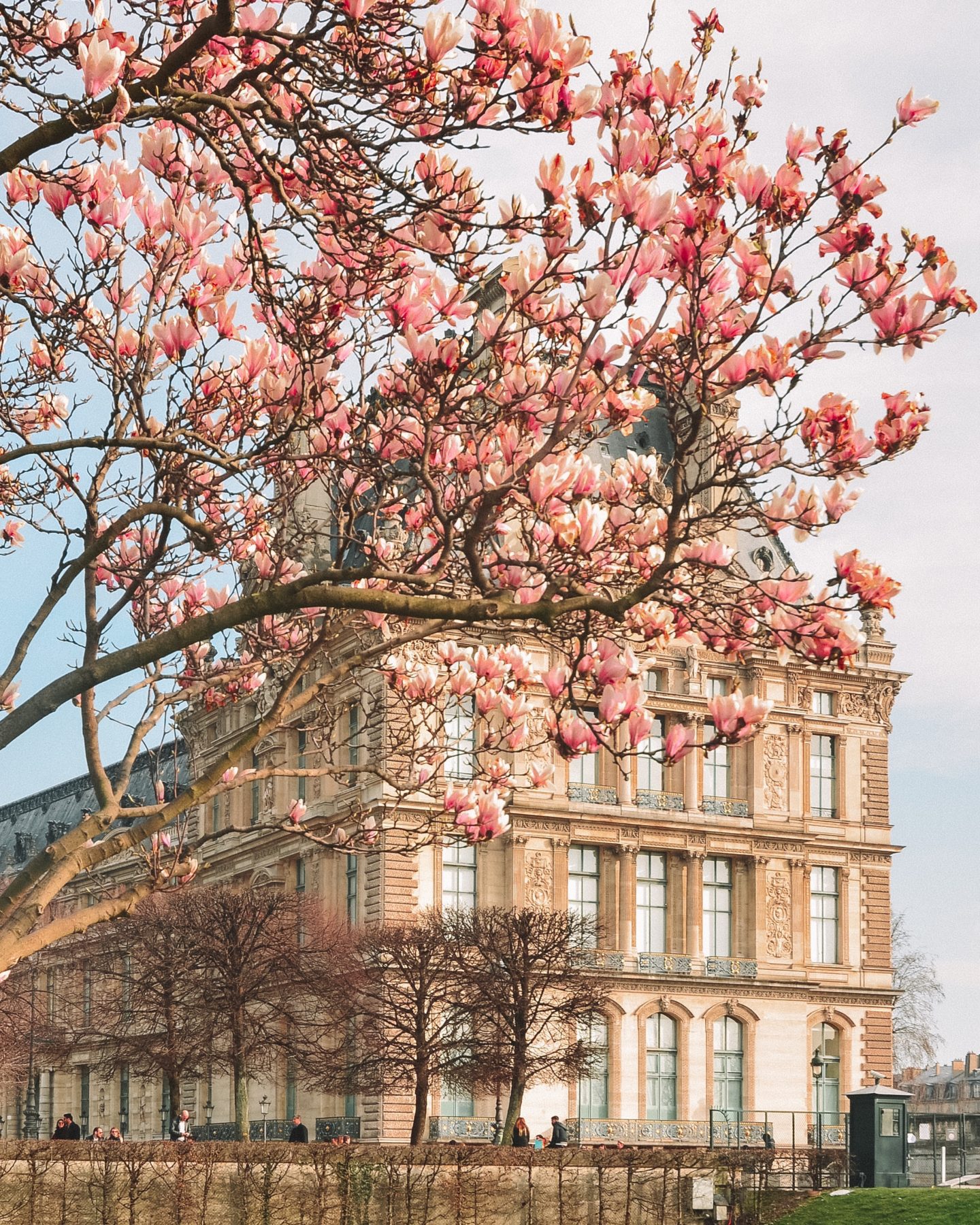Spring in Paris - Best Places To See the Blooms - Nathalie Wanders