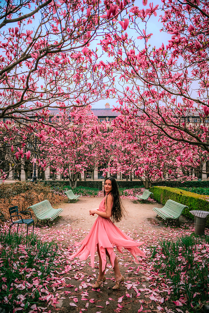 Spring in Paris - Best Places To See the Blooms - Nathalie Wanders