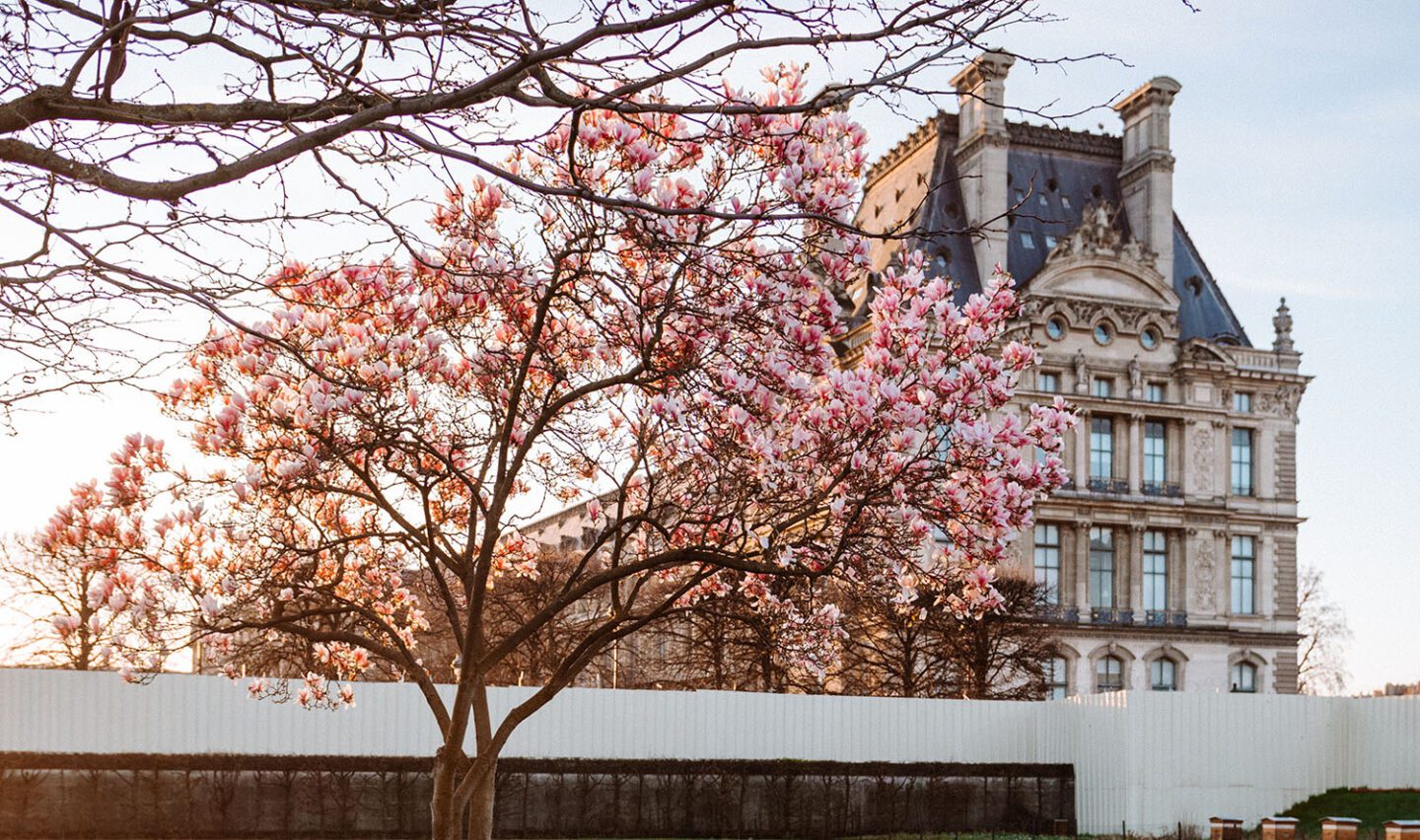 Spring in Paris - Best Places To See the Blooms - Nathalie Wanders